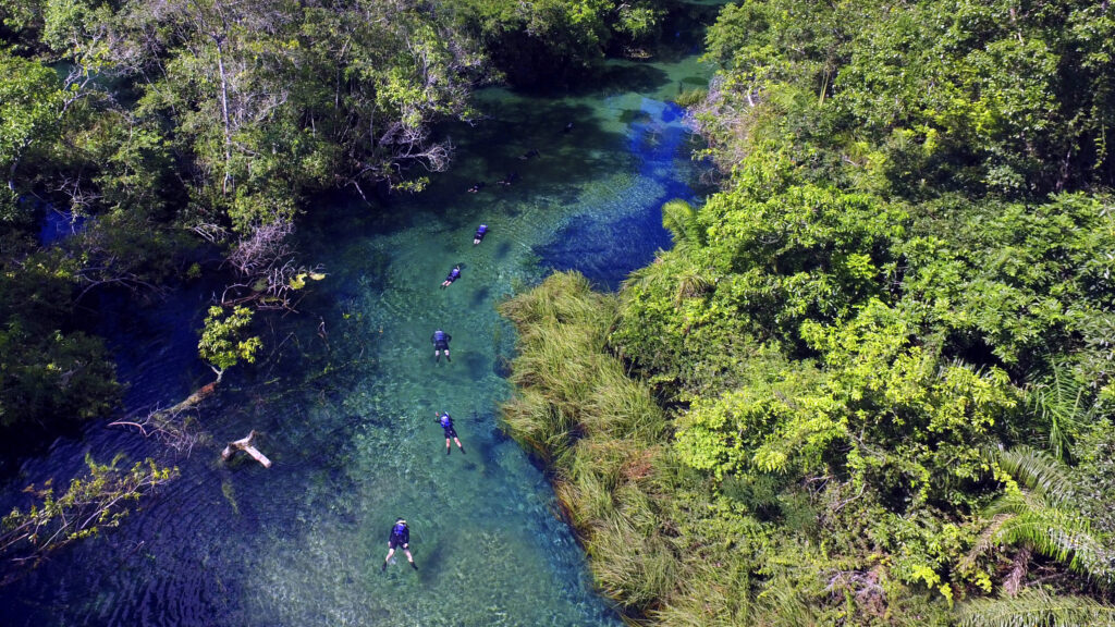 What To Do In Bonito: Best Attractions & Exciting Activities