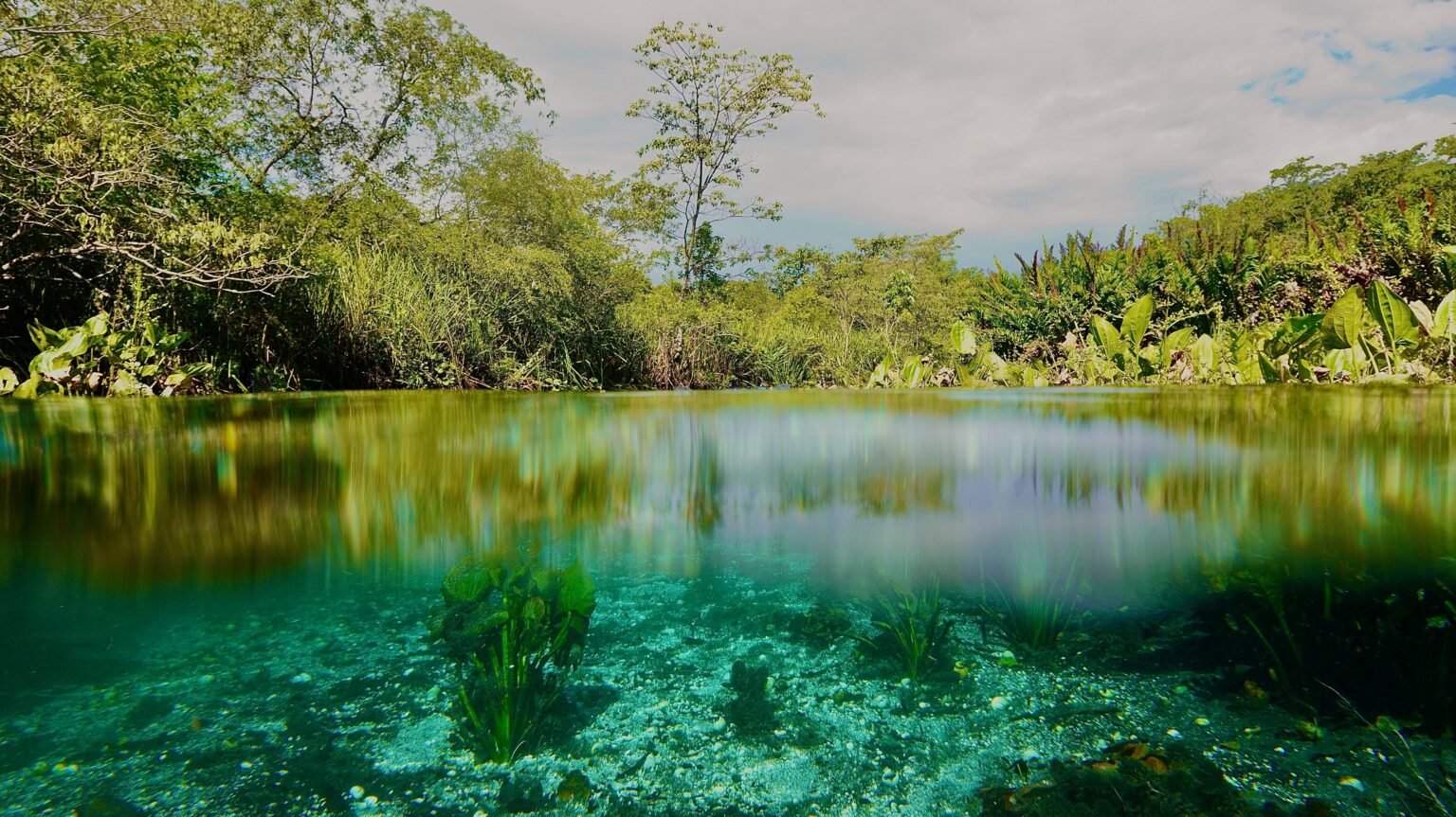 What To Do In Bonito: Best Attractions & Exciting Activities